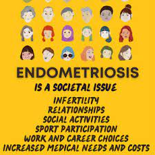 Phytaphix founder, Dr. Conor Kerley, interviewed on endometriosis podc